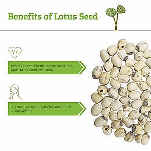 Farmer Queen Dried Lotus Seeds 8 Ounce for Tea & Baking Rich In Methionine Good for Gut health and Diet