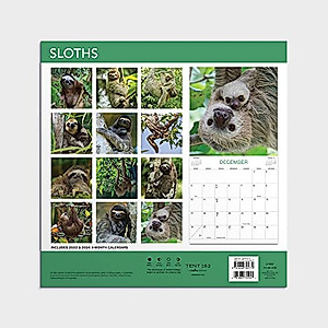 Sloths 2023 Wall Calendar