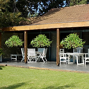 ZFProcess Artificial Flowers Hanging Basket with Artificial Ivy Vine for Outdoor/Indoor,Fake Ivy Vine Flowers in Coconut Lining Hanging Basket,4 Branches Ivy Vine Flowers in 12'' Basket(Green)