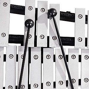 ReunionG Percussion Practice Bell Kit Set Professional Music Stand Xylophone with Bag Case for School Kid Band Teacher