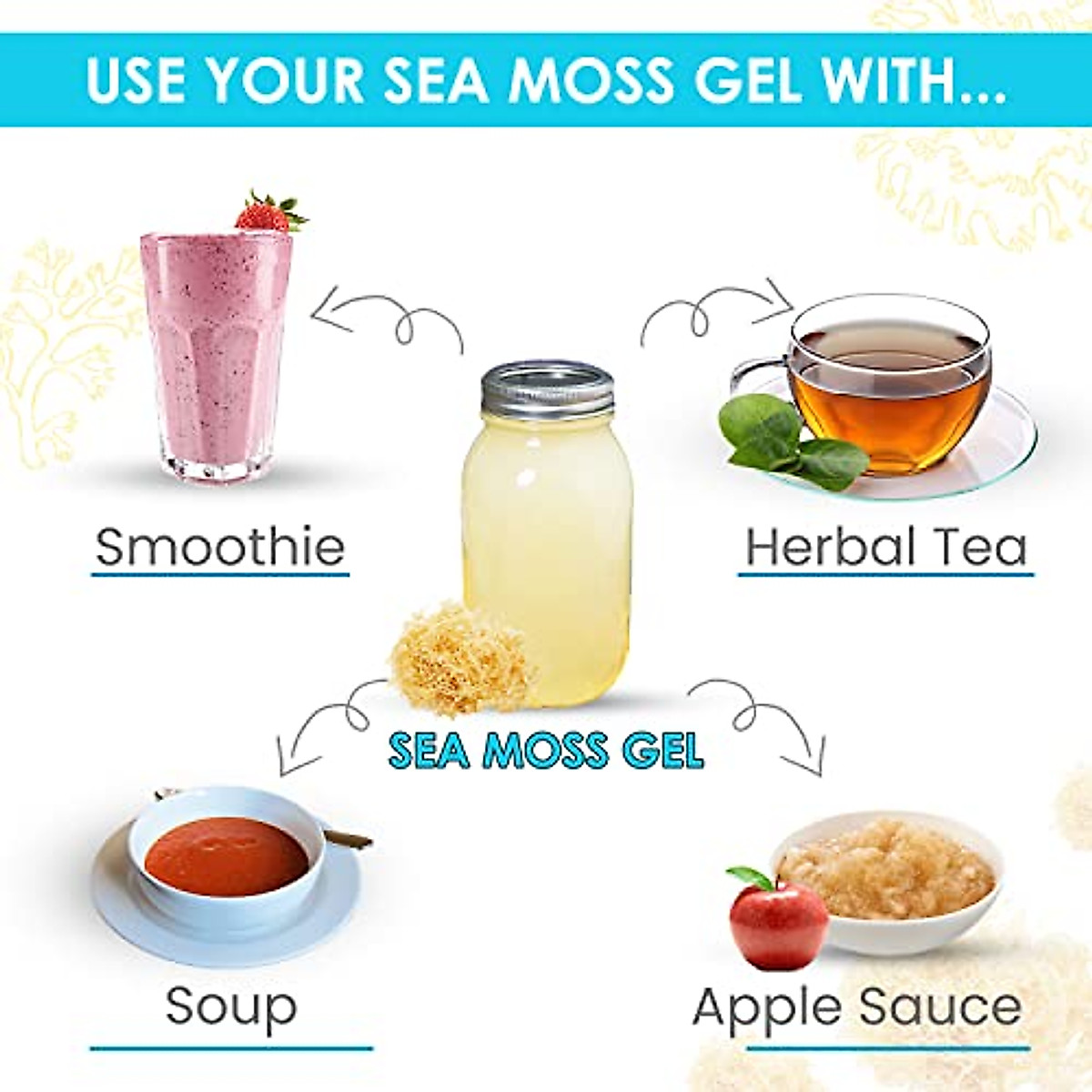 BUIE HOLISTIC HERBS Golden Irish Sea Moss, Pure Wildcrafted, Nutrient-Rich, Dr. Sebi Inspired - Makes 120+ oz Gel | Pure & Natural Raw Gold Irish Sun - Dried Sea Moss for Health & Wellness / (8 oz)