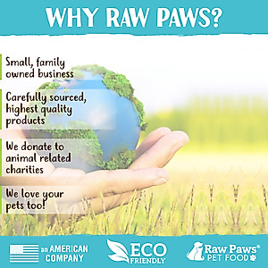 Raw Paws Alternative Soft Bully Sticks for Dogs, 6-inch, 15-ct - Made in USA - Dog Chews Rawhide Free - Soft Dog Chews for Senior Dogs - Rawhide Free Dog Treats - Puppy Chews for Teething