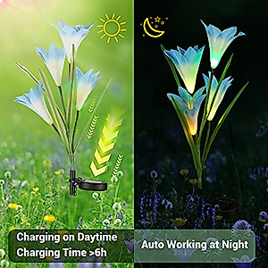 Flacchi 4 Pack Solar Lily Flower Lights with 16 Larger Lily Flower, Color Changing Landscape Lighting Outdoor Waterproof Solar Garden Lights Path Lights for Garden Patio Walkway Pathway