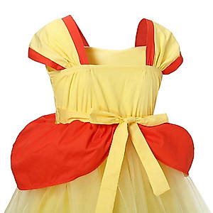 Dressy Daisy Super Brothers Princess Costume Tulle Dress for Baby Girls Halloween Birthday Party Fancy Outfits Size 3-6 Months, Yellow