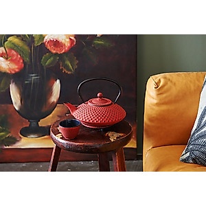 bredemeijer Cast Iron Tea Cups Red XILIN Set of 2