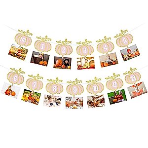 Pumpkin 1st Birthday Photo Banner Pink Gold Pumpkin First Birthday Photo Banner Pumpkin 12 Month Photo Banner for Fall Pumpkin Themed 1st Birthday Party Supplies