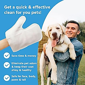6 Hypoallergenic Pet Grooming Cleaning Wet Wipes Mitt - No Water or Shampoo Needed, Deoderizing, Conditioning, Mouisturing, Fresh, Pet Supplies No Mess Mitts - UNSCENTED