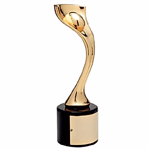 Comprehensive Reflexology & Massage: The Foot