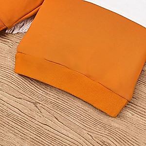 CETEPY Baby Boys Clothes 12-18 Months Toddler Boy Sweatshirt Patchwork Fall Winter Long Sleeve Shirt Pants Outfits Clothing Set Set Yellow 12-18 Months