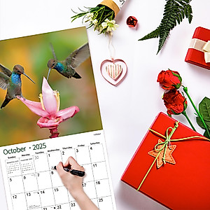 2024 Wall Calendar,Calendar 2024, November 2023 - December 2024, Wall Calendar Hummingbird, 12" x 24" Opened,Full Page Months Thick & Sturdy Paper for Gift Perfect Calendar Organizing & Planning