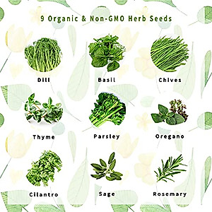 Indoor Herb Garden Starter Kit - 9 Herb Seeds Growing Kit, Organic&Non GMO Home Windowsill Plant Kit with All Gardening Tools, Ideal DIY Gardening Gift for Kids Adults