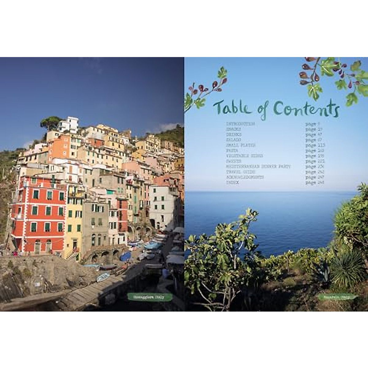 The Forest Feast Mediterranean: Simple Vegetarian Recipes Inspired by My Travels