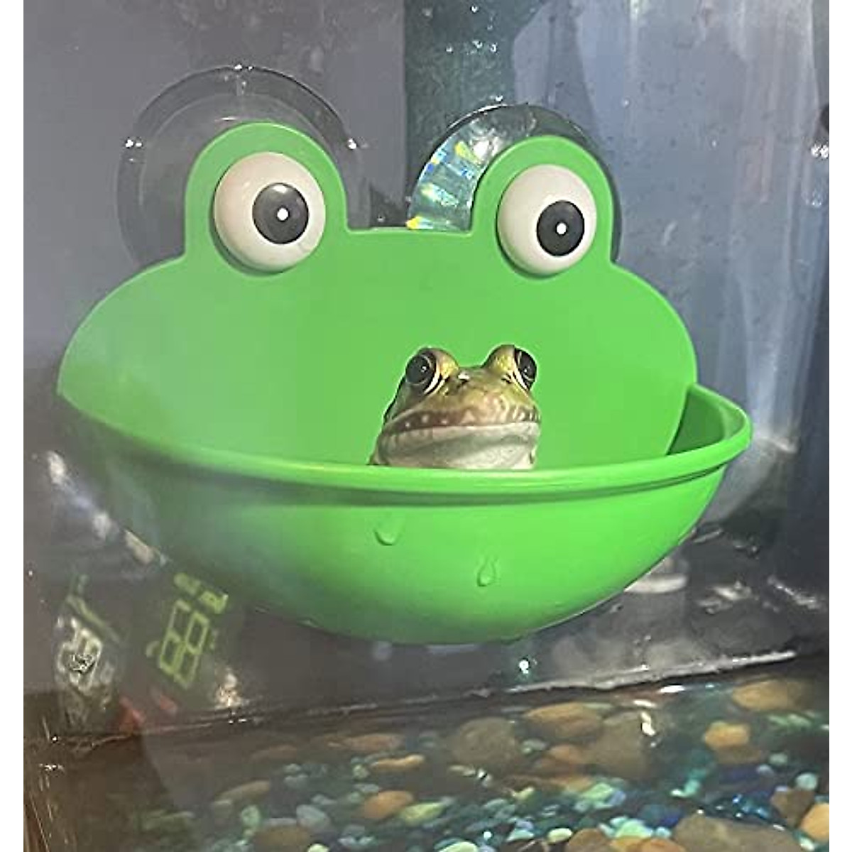 2 Pieces Frog Habitat with Dual Suction Cups Cute Fish Tank for Amphibian Aquatic Toad Frog Tadpole Tree Frog Small Aquatic Animals