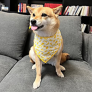 Cartisanat Dog Bandanas, 2 Pack Fruit & Pumpkin Set Triangle Reversible Pet Scarf Adjustable Fit Triangle Bibs Accessories, Multiple Sizes Offered for Small Medium & Large Dogs.