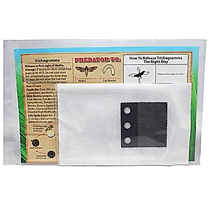 Bug Sales Trichogramma 3 Squares/ 12,000 Eggs