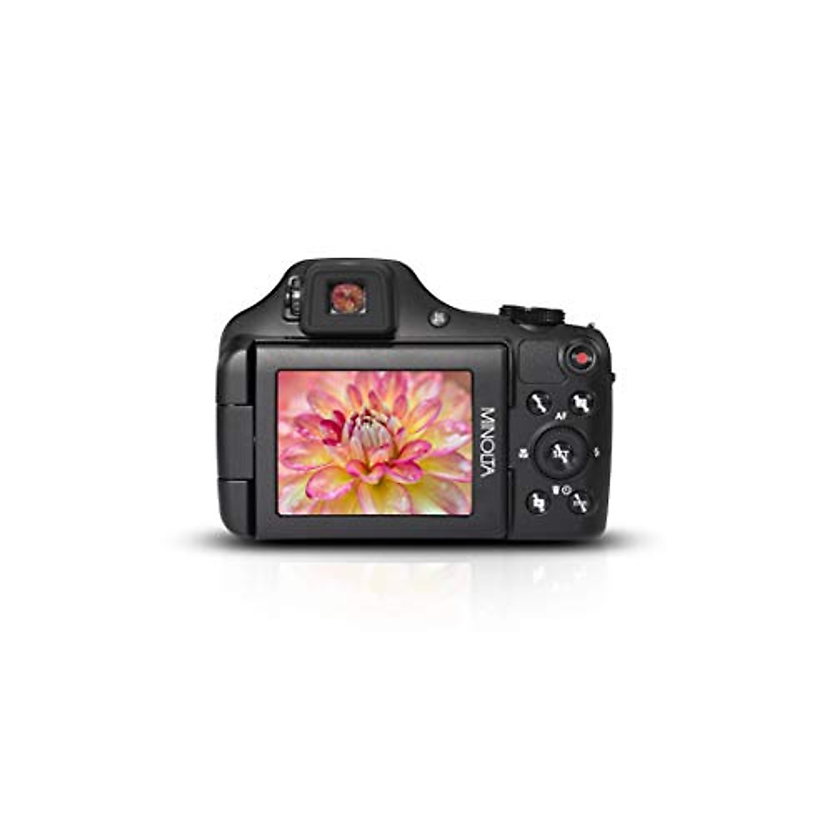 Minolta Pro Shot 20 Mega Pixel HD Digital Camera with 67X Optical Zoom, Full 1080P HD Video & 16GB SD Card, Black