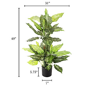 Pure Garden Artificial Dieffenbachia Floor Plant - 40-Inch Potted Faux Greenery for Home or Office Decoration - Natural Looking Polyester Leaves