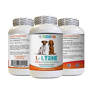 Amino acids for Dogs - Dog LYSINE Powder - Pure Powder Form - Immune System Support - Vet Recommended - lysine Treats - 1 Bottle (8oz 226.8 Grams)
