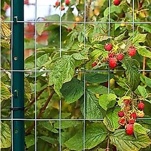 VASGOR 3 Feet Sturdy Duty Metal Fence Post – Garden U Post for Fencing - 10 Pack