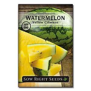 Sow Right Seeds - Yellow Crimson Sweet Watermelon Seed for Planting - Non-GMO Heirloom Packet with Instructions to Plant a Home Vegetable Garden - Rare Yellow Flesh Melon with Sweet Flavor (1)