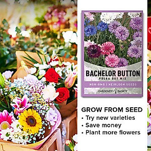 Bachelor Button Seeds for Planting Cornflower (Polka Dot Mix) - Pretty Mix of Bachelors Buttons Seeds Open Pollinated, Non-GMO, Great for Cut Flower Gardens by Gardeners Basics