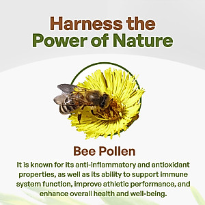 Go Nutra - Bee Pollen Powder, Pure Bee Pollen Powder, Bee Pollen Supplement for Humans, Dogs, Bearded Dragon, and More, Non-GMO, Gluten-Free, Vegan, 8 oz