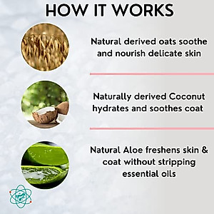 PET CARE Sciences 16 fl oz Tearless Puppy Shampoo and Conditioner - Anti Itch Dog Shampoo Sensitive Skin - Coconut Oil Oatmeal Pet Shampoo for Puppies