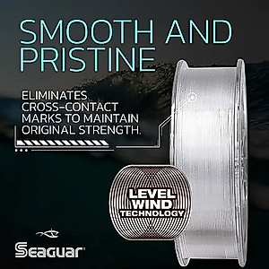 Seaguar Blue Label 100% Flourocarbon Fishing Line (DSF), 20lbs, 25yds Break Strength/Length - 20FC25