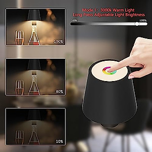 Howskys 2 Pack LED Dimmable Bottle Lamp 3000k+RGB, IP54 Wireless Bottle Lamp for Indoor and Outdoor, 5500 mAh Rechargeable Bottle Lamp for Family, Restaurant & Bar(Black)