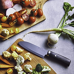 Kyocera Advanced Ceramic LTD Series Santoku Knife with Handcrafted Pakka Wood Handle, 5.5-Inch, Black Blade