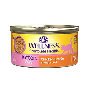 Wellness Complete Health Grain-Free Chicken Entrée Wet Kitten Food - Natural Ingredients with Real Chicken, Brain Development DHA, Essential Fatty Acids and Eye Health Taurine, 3 oz cans (Pack of 24)