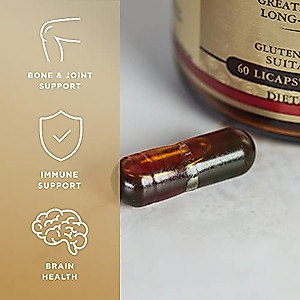 Solgar Full Spectrum Curcumin - 60 LiCaps - Superior Absorption - Brain, Joint & Immune Health - Non-GMO, Vegan, Gluten Free, Dairy Free - 60 Servings