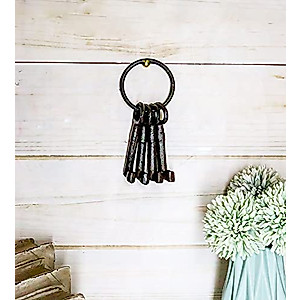 Ebros Gift Realistic Vintage Antique Design Cast Iron Jailer Keys Set of 4 On Ring Wall Accent Old World Halloween Costume Prop Pirate Skeleton Ship Jail Key Pack