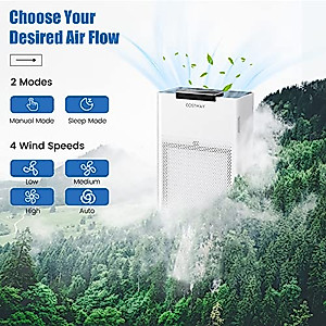 COSTWAY 2-in-1 Air Purifier Replacement Filter True HEPA Filter + Active Carbon Filter