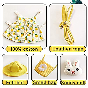 mcgrady1xm Small Animal Harness Vest and Leash Set, No Pull Comfort Clothes with Accessory, Travel Escape Proof Harness for Rabbit Ferret Guinea Pig Bunny Hamster Puppy Kitten (S)