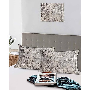 Edwiinsa Beige Wall Pillow Covers King Standard Set of 2 Bed Pillow, Farmhouse Vintage Shabby Wall Abstract Art Plush Soft Comfort for Hair/Skin Cooling Pillowcases with Envelop Closure 20''x36''