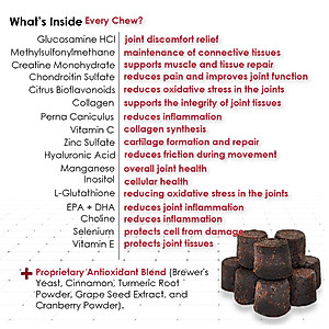 Rematrix Joint Support Supplement for Dogs - Glucosamine, Chondroitin, MSM, Omega-3 - Hip and Joint Pain Relief and Support for Dogs - Made in USA - 60 Soft Chews