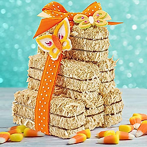 FloraCraft 12 Piece Decorative Straw Bale 1 Inch x 1.25 Inch x 2.5 Inch Natural