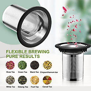 suyika Tomotime Glass Tea Cup with Lid and Stainless Steel Infuser Basket Perfect Clear Tea Mug for Office and Home Uses for Loose Leaf Tea Steeping 13.5 Ounce,400ml, Black