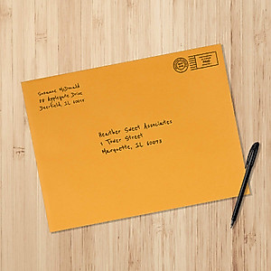 Amazon Basics 9 x 12-Inch Clasp Kraft Envelopes, Gummed, 100-Pack