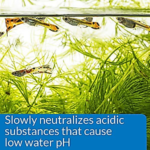 Aquarium Pharmaceuticals 31C pH Up Aquarium pH Adjuster, 4 oz.