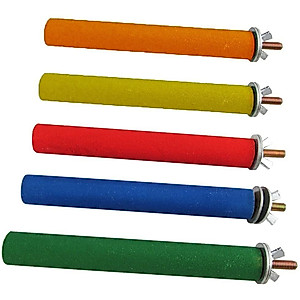 Keersi Wood Perch Paw Grinding Toy for Parrot Macaw African Greys Eclectus Budgies Parakeet Cockatoo Cockatiels Conure Lovebird Finch Cage Toy