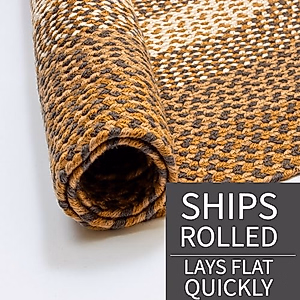 Super Area Rugs Brown Braided Rug for Kitchen/Dining Room, Taupe Gray Indoor Outdoor Braided Rug for Patio/Porch 4' x 6' Oval