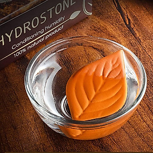 BWESOO Brown Sugar Keeper Saver for Keeping Moist Fresh Reusable Leaf Clay Keep Conditioning Humidity Kitchen Gadgets Storage Containers Sets Food Containers