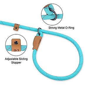 Slip Lead Dog Leash, Reflective Mountain Climbing Rope Leash, Dog Training Leash – 5FT, 2 Sizes (Medium, Turquoise)