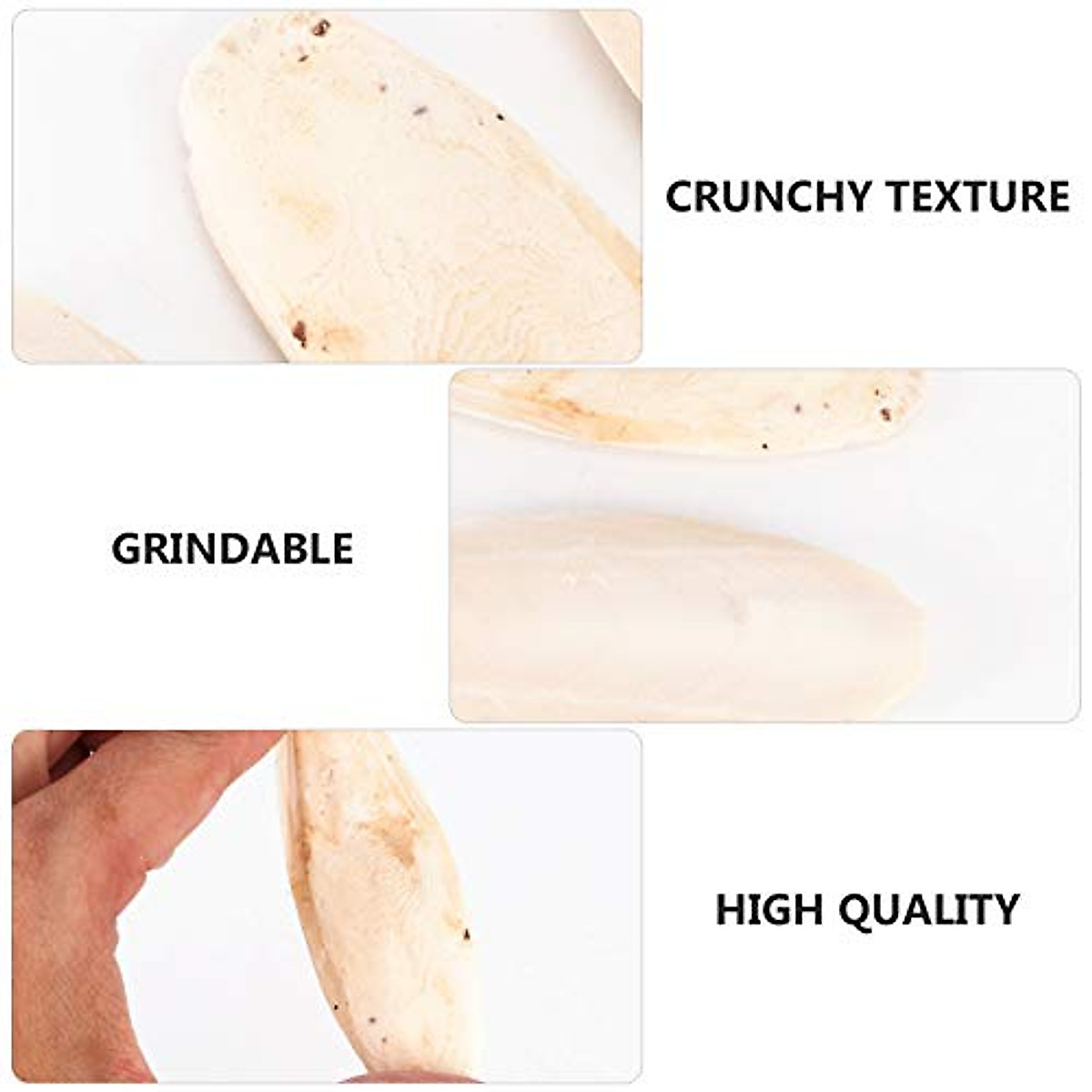 Scicalife Bird Cuttlebone for Parakeets,8-12cm Natural Cuddle Bone, Chewing Cuttlefish Bone for Sharp Beaks, Natural Birds Calcium Suitable for Parrot Cockatiels Budgie Conures (Beige)
