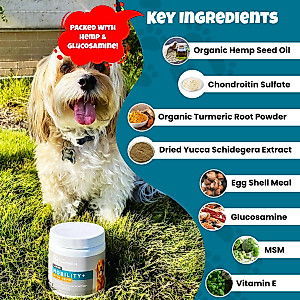 PawMedica Glucosamine for Dogs, Hip & Joint Care Chews for Dogs, Joint Support for Dog Joint Supplements with Hemp Mobility for Dogs, Senior Dog Joint Supplement Large Breed - 120 Dog Hemp Chews