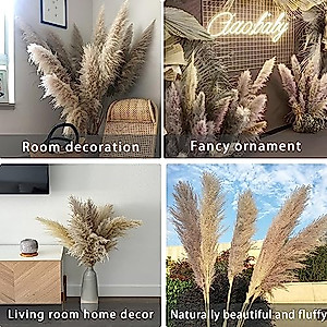 Save 53% Instantly on Combined Orders of 10PCS 47In Tall Natural Pampas Grass and 2 Bundles of 200 Stem & 2 Dried Lavender Sachets for Home Boho Decor