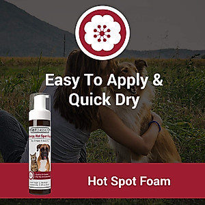 Vet Classics Allergy Hot Spot Foam for Dogs and Cats – Pet Spray for Hot Spots, Itchy, Irritated Skin – Includes Aloe Vera – Quiet Pet Foam for Sensitive Skin, Quick-Drying – 8 Oz.
