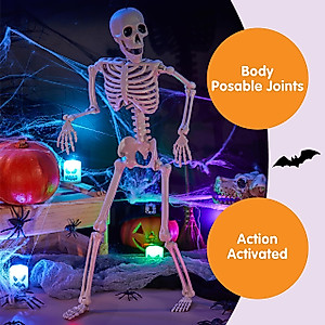 JOYIN 3 PCS Halloween Hanging Skeletons 16" Full Body Posable Joints Movable Plastic Bones for Halloween Party Outdoor Indoor Decor, Yard Patio Lawn Garden Props Decorations